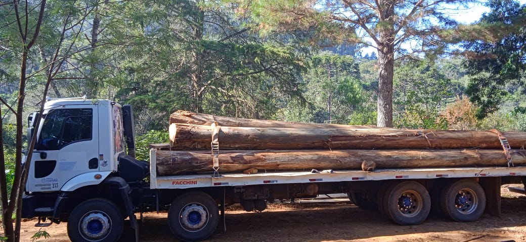 Serviços em pleno andamento nas estradas da localidade de Pinhalzinho ...
